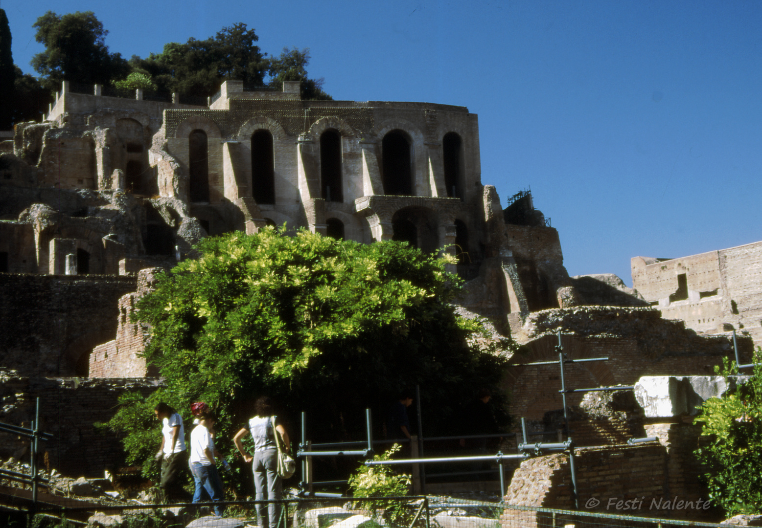 Blick vom Forum auf den Palatin Foto & Bild | architektur, europe ...
