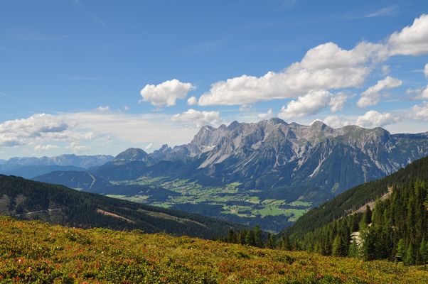 Thomas Leiser - Fotos & Bilder - Fotograf aus Ketsch, Deutschland ...