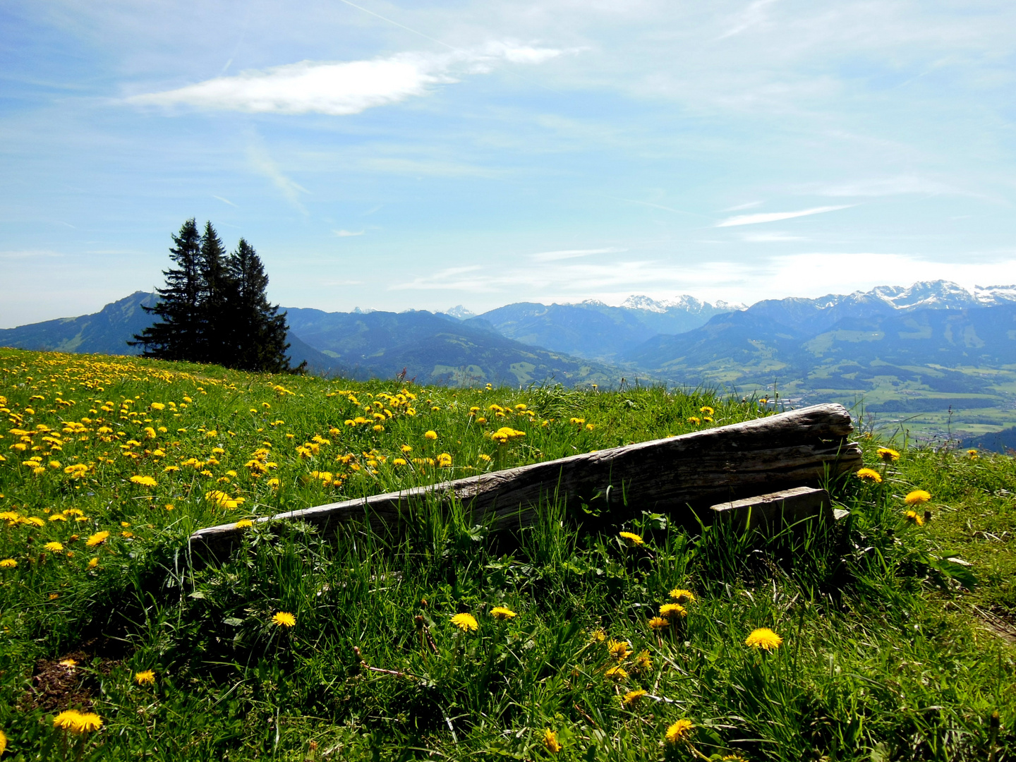 Blick vom Mittag am Mittag Foto & Bild | landschaft, berge, natur ...