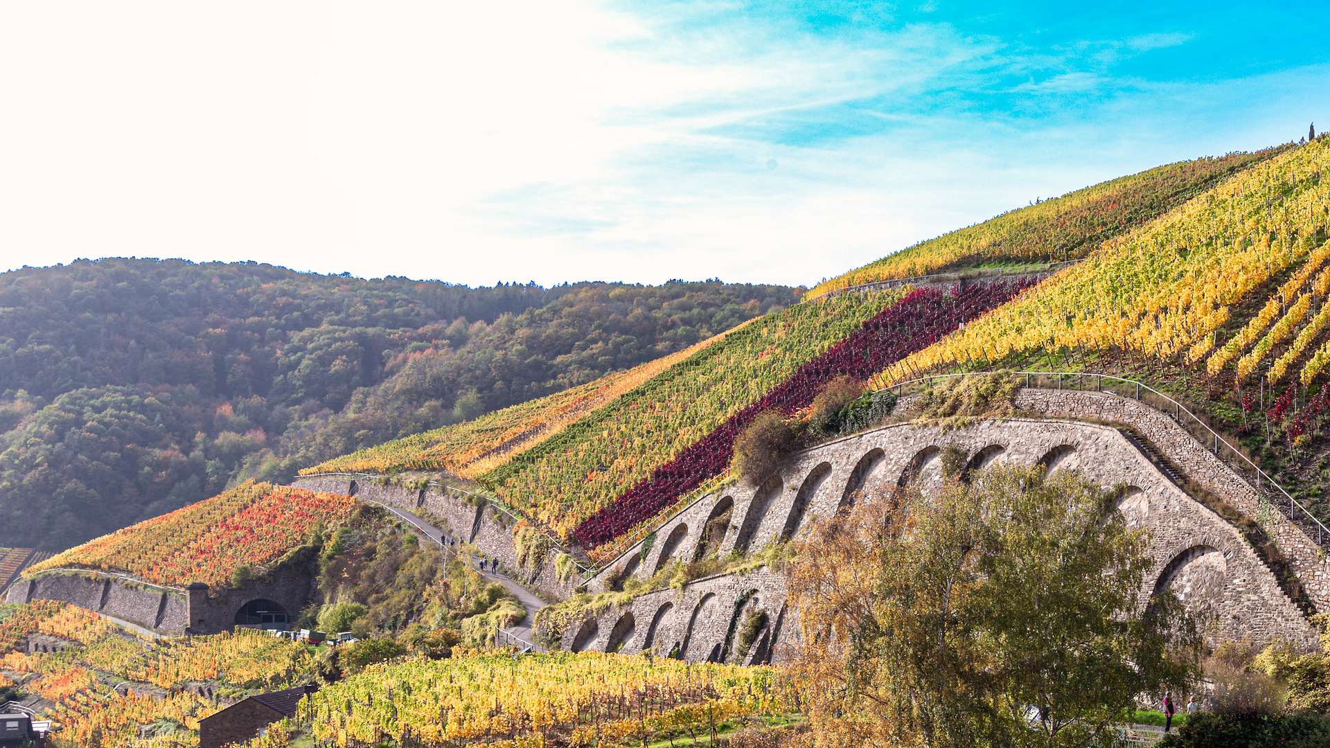 Blick vom Rotweinwanderweg ins Ahrtal Foto & Bild | deutschland, europe ...