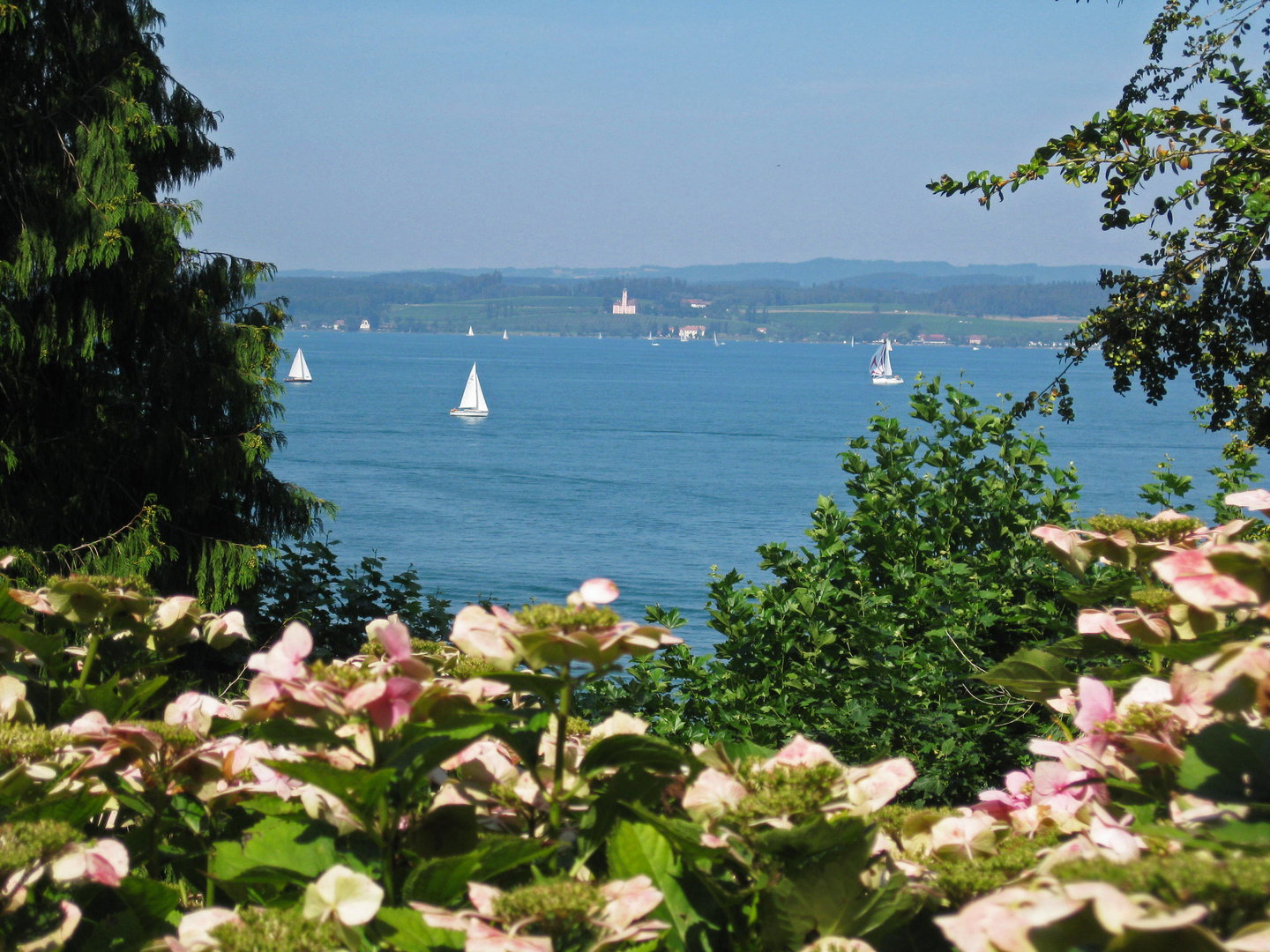 Blick von der Insel Mainau.... Foto & Bild | landschaft, bach, fluss ...