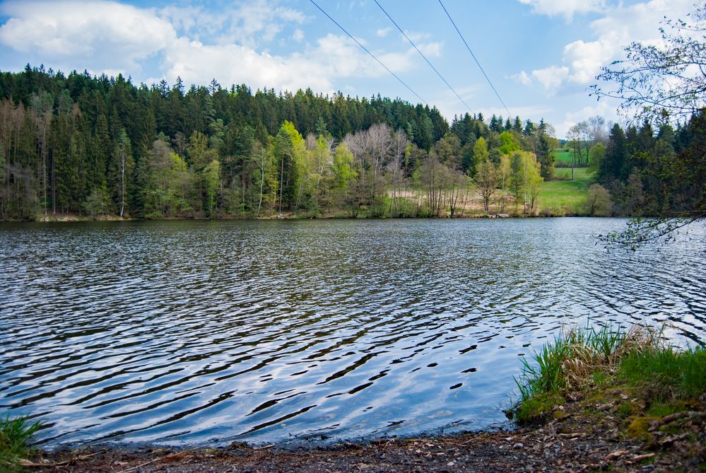 Blick zum anderen Ufer Foto & Bild | landschaft, bach, fluss & see ...