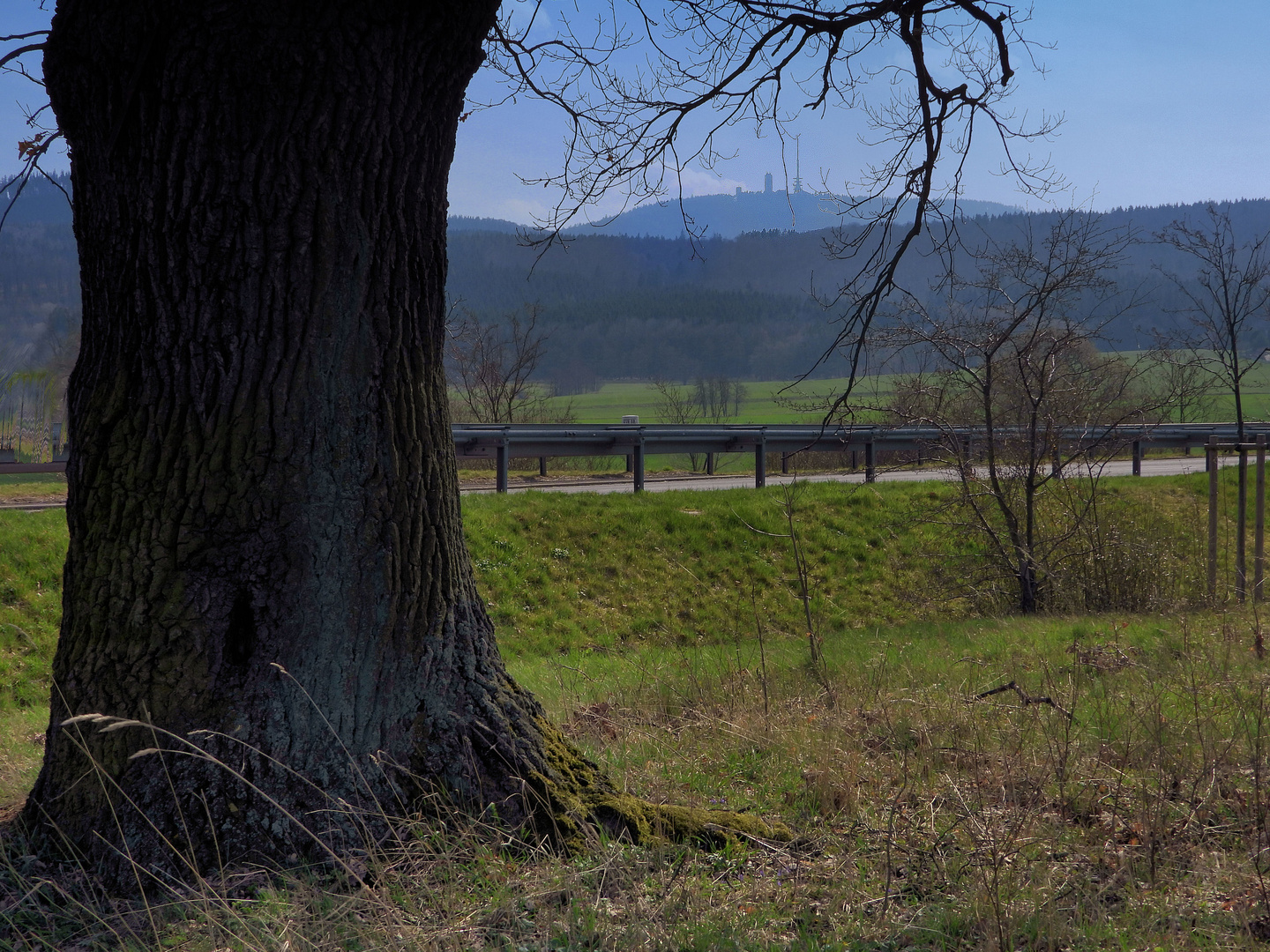 Blick zum Großen Inselsberg Foto & Bild | landschaft, wald, natur ...