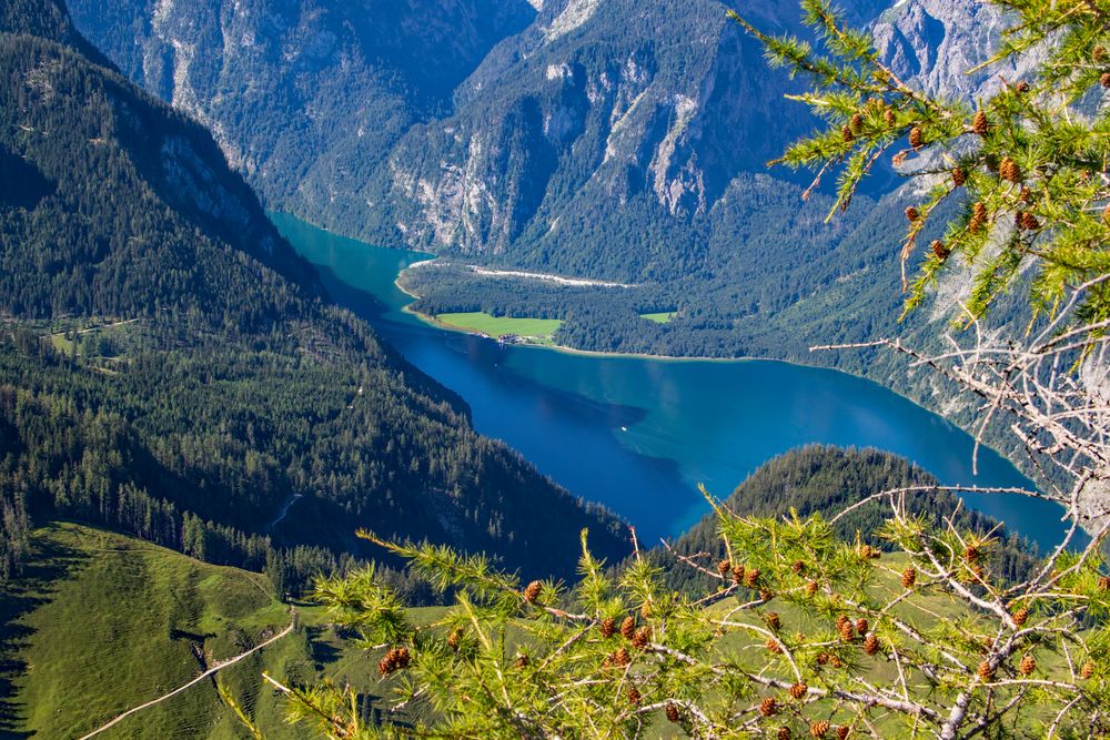 Blick zum Königsee vom Jenner Foto & Bild | deutschland, europe, bayern Bilder auf fotocommunity