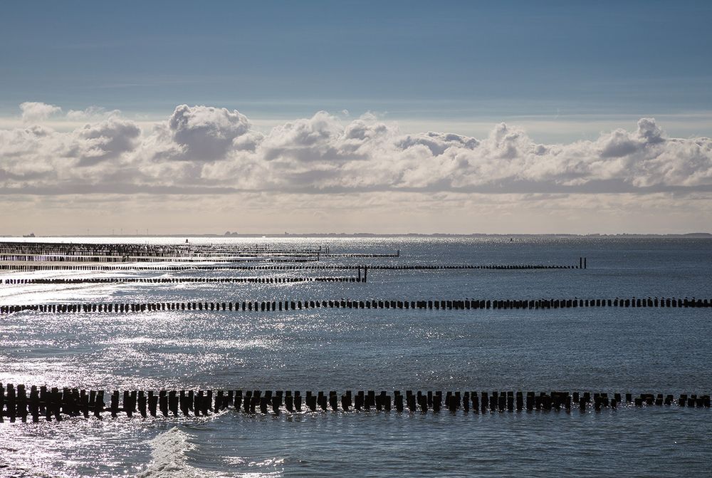 Blick zur Westerschelde ... Foto & Bild | landschaft, meer & strand ...