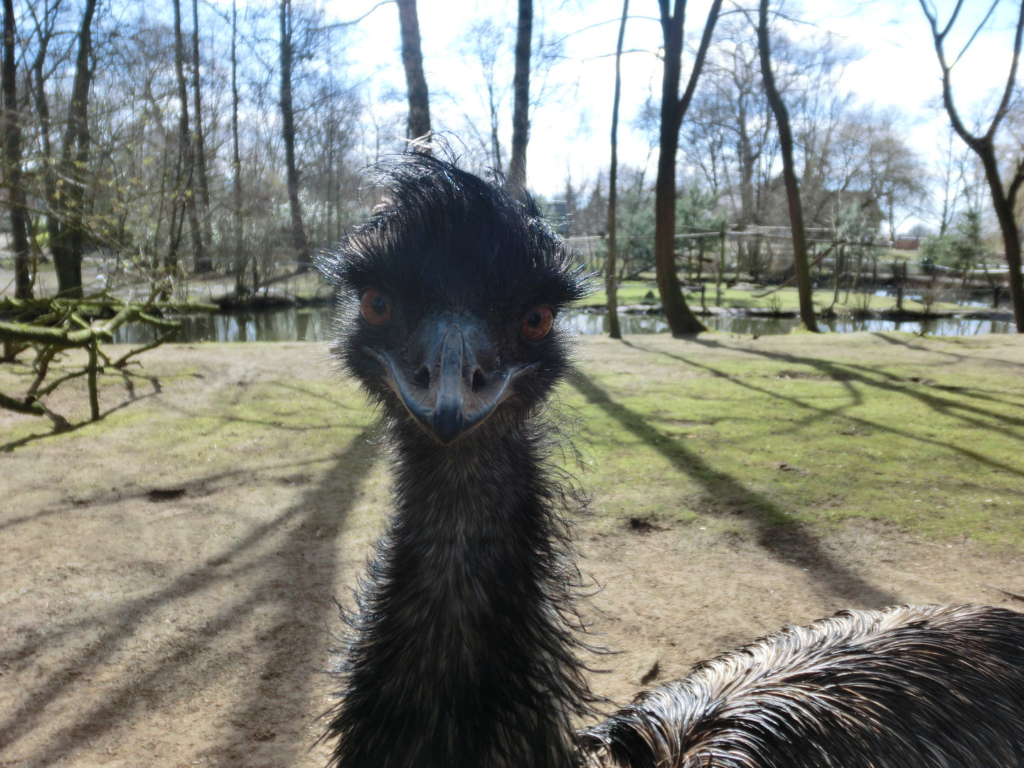 Blicke Foto & Bild | natur Bilder auf fotocommunity