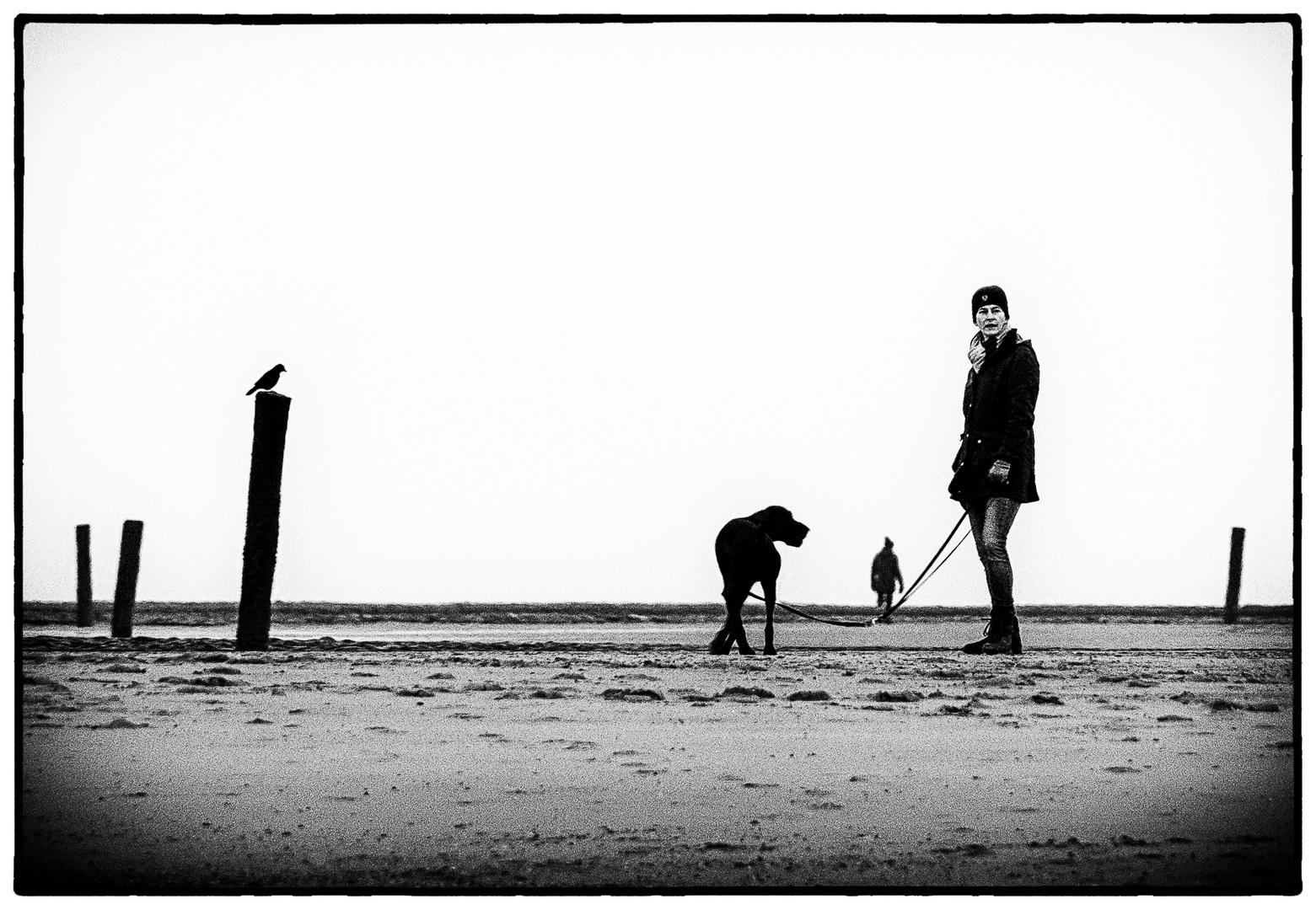 Blickrichtungen Foto & Bild | tiere, streetfotografie mit menschen, tier und mensch Bilder auf ...