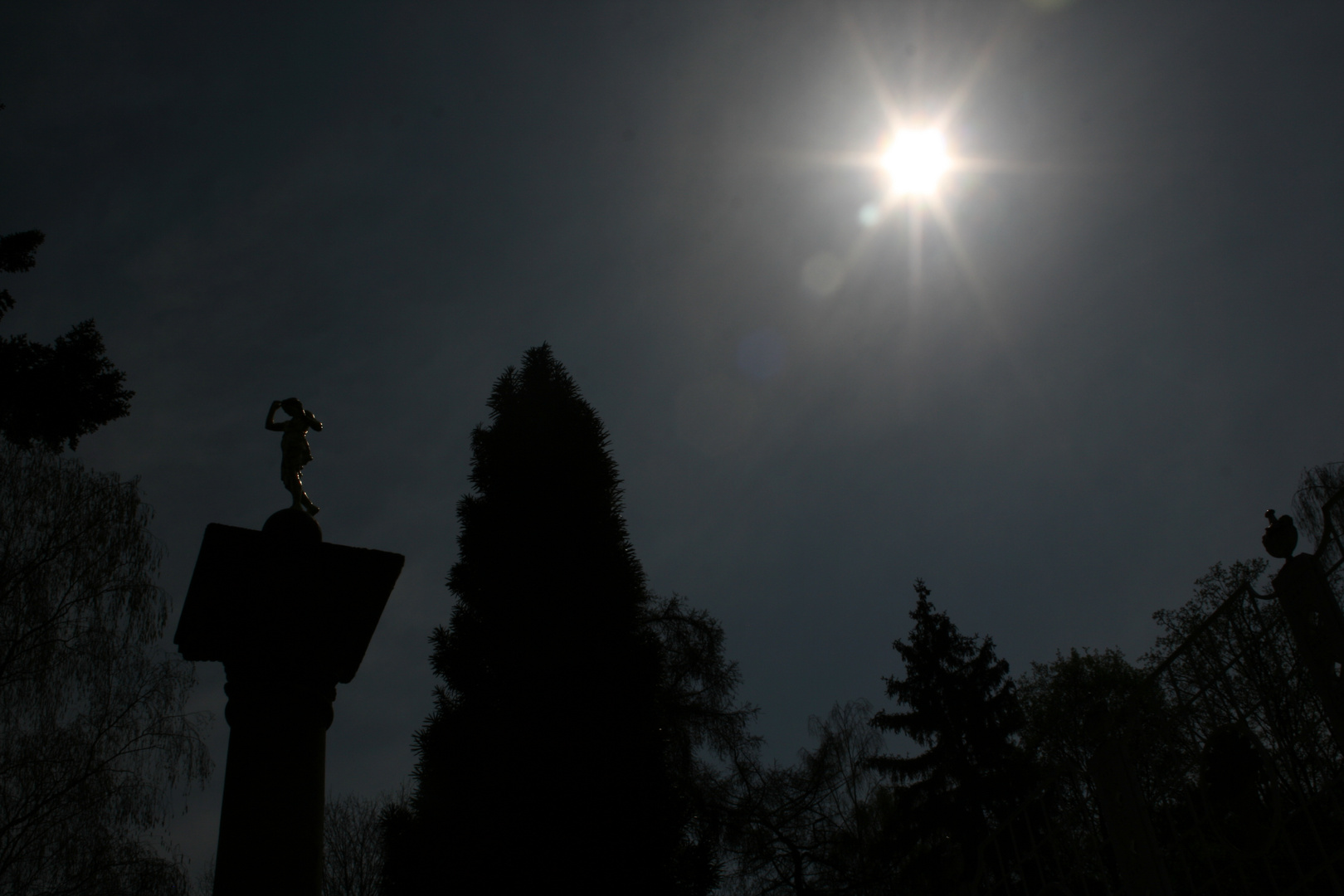 blinding sun Foto & Bild | springtime Bilder auf fotocommunity