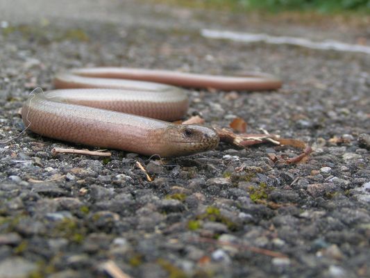 Michael Pollich - Fotos & Bilder - Fotograf | fotocommunity