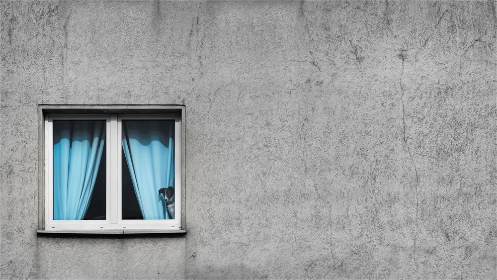 blockwart* Foto & Bild | spezial, monochrome, straße Bilder auf ...