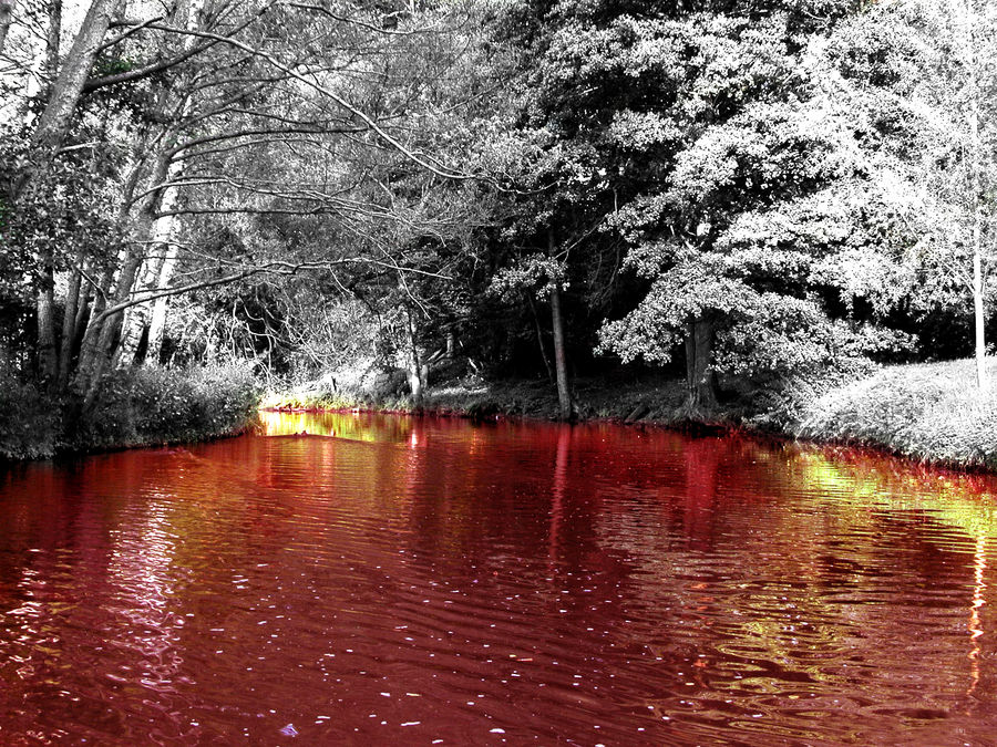 Blood River Foto & Bild | landschaft, bach, fluss & see, flüsse und ...