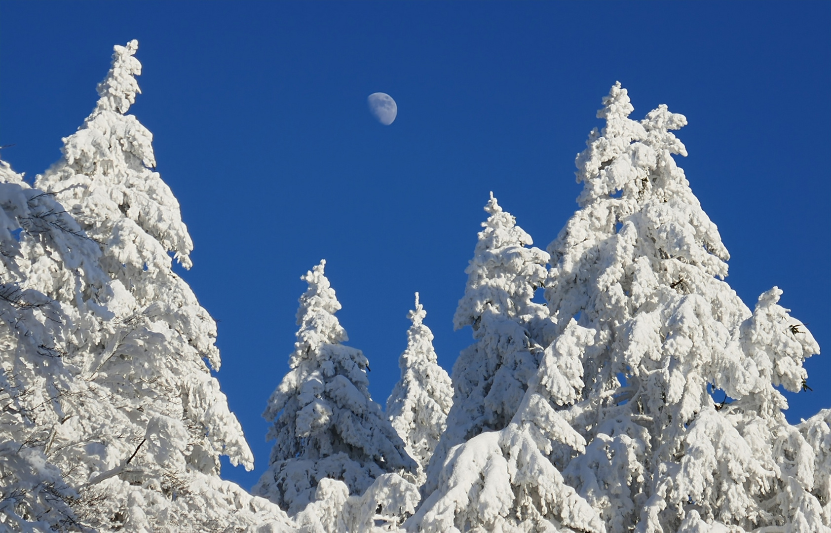 Blue - Blau Foto & Bild | landschaft, jahreszeiten, winter Bilder auf fotocommunity