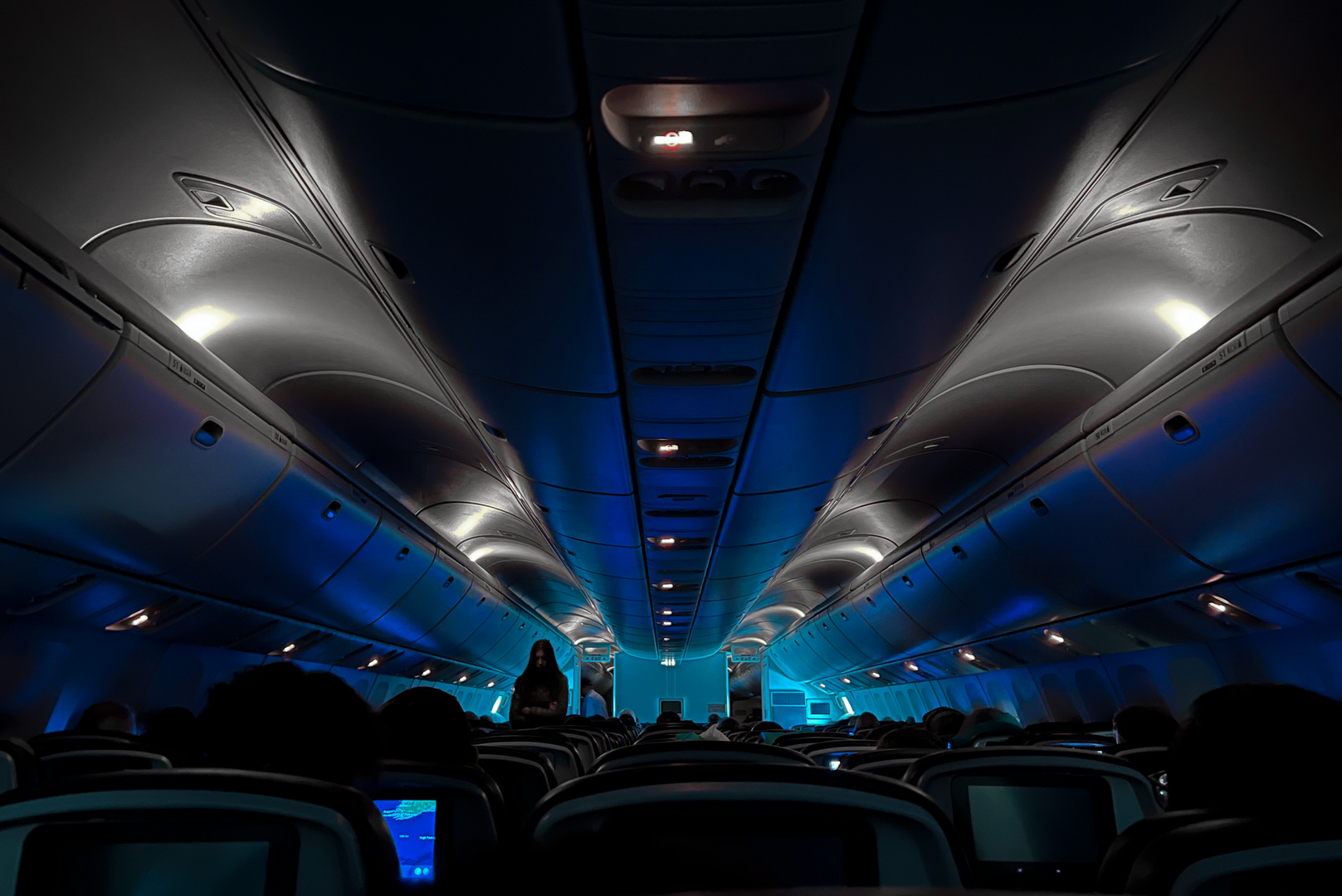 Blue Flight Foto & Bild | luftfahrt, projekte, passagiermaschinen ...