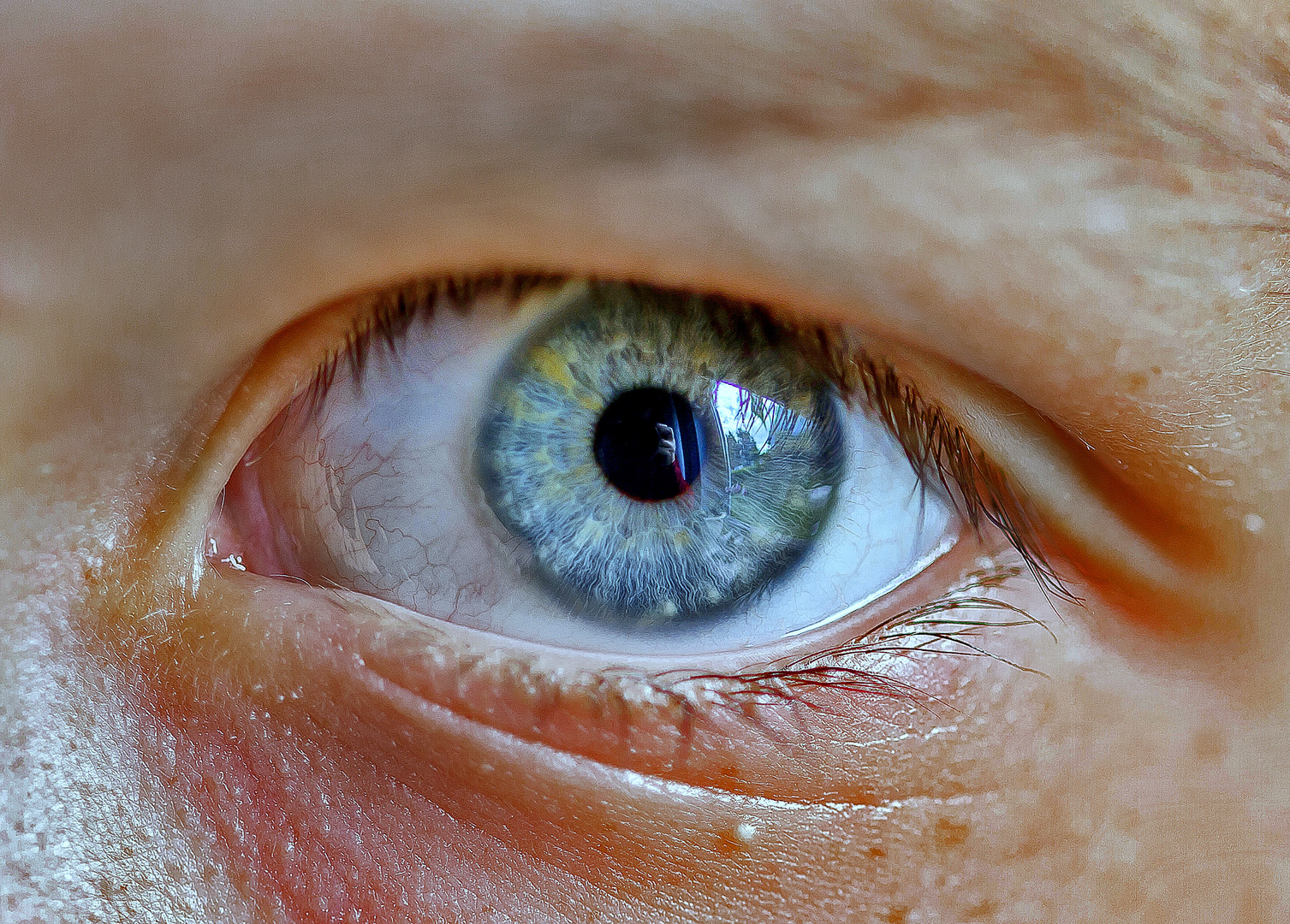 blue monday.... Foto & Bild | projekte, 1 - montag - blue monday, thementage Bilder auf ...