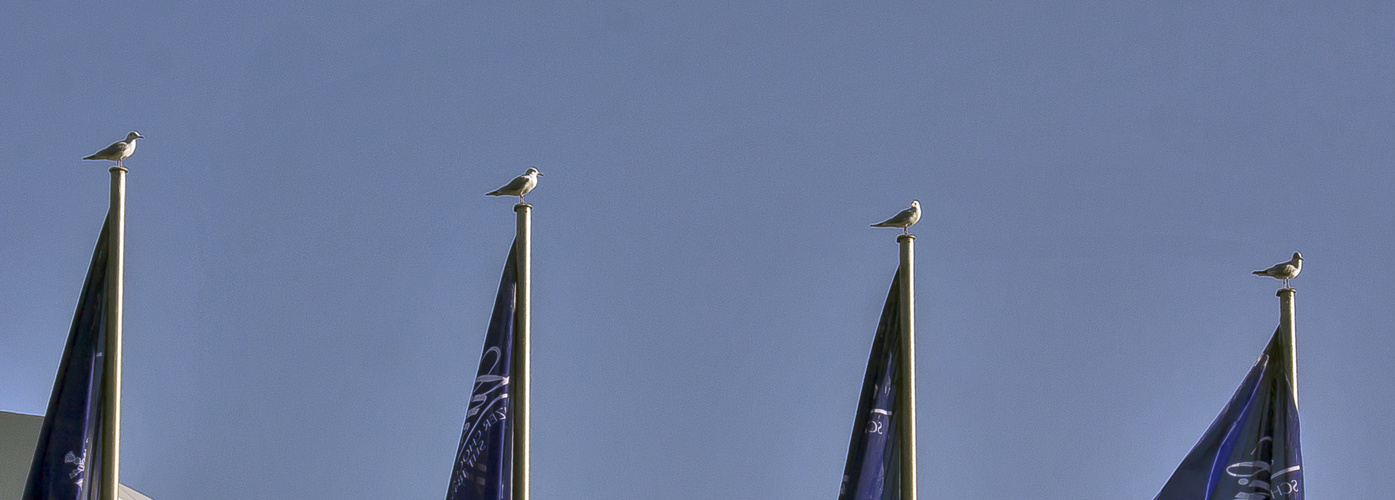 blue monday.... Foto & Bild | projekte, 1 - montag - blue monday, thementage Bilder auf ...