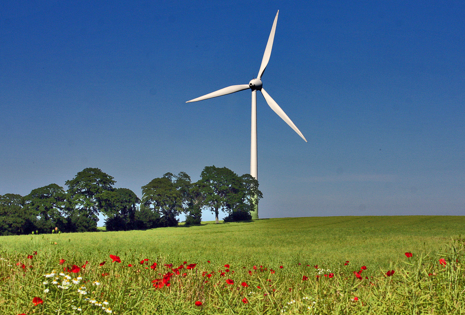 blue monday... Foto & Bild | projekte, 1 - montag - blue monday, thementage Bilder auf fotocommunity