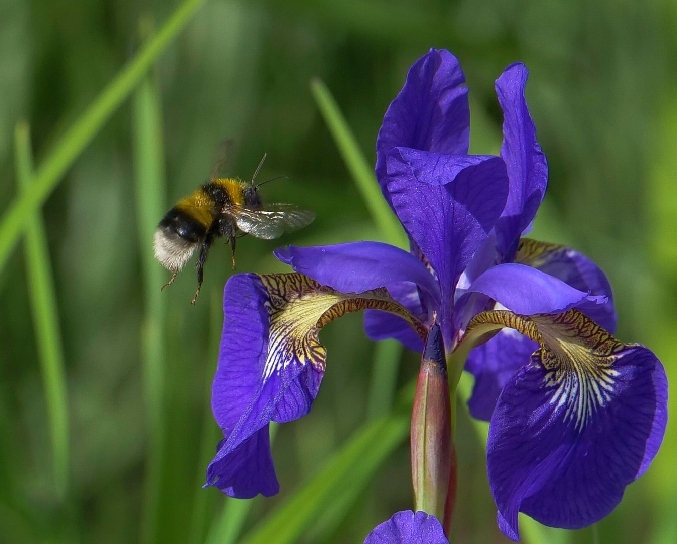 blue monday.... Foto & Bild | projekte, 1 - montag - blue monday, thementage Bilder auf ...