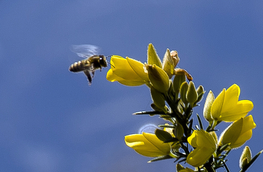 blue monday.... Foto & Bild | projekte, 1 - montag - blue monday, thementage Bilder auf ...