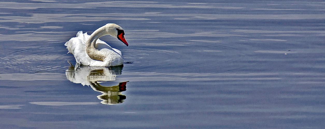 blue monday.... Foto & Bild | projekte, 1 - montag - blue monday, thementage Bilder auf ...