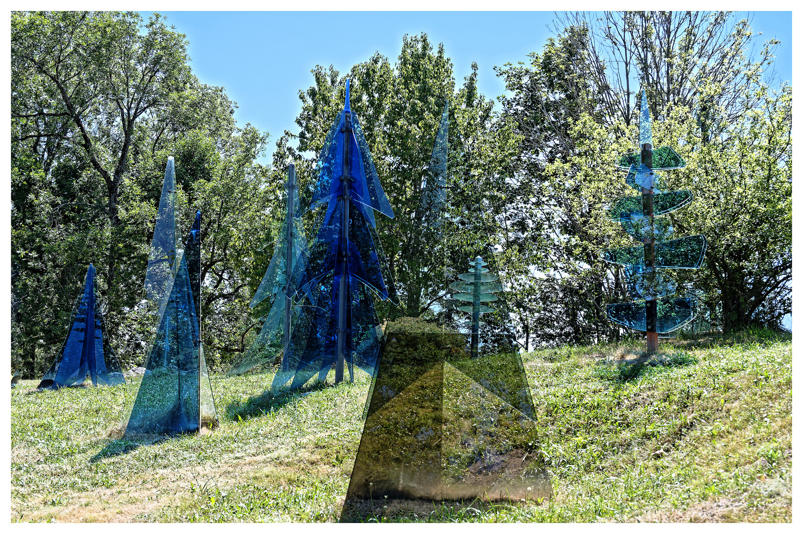 Blue Monday - Gläserner Wald Foto & Bild | Bilder auf fotocommunity