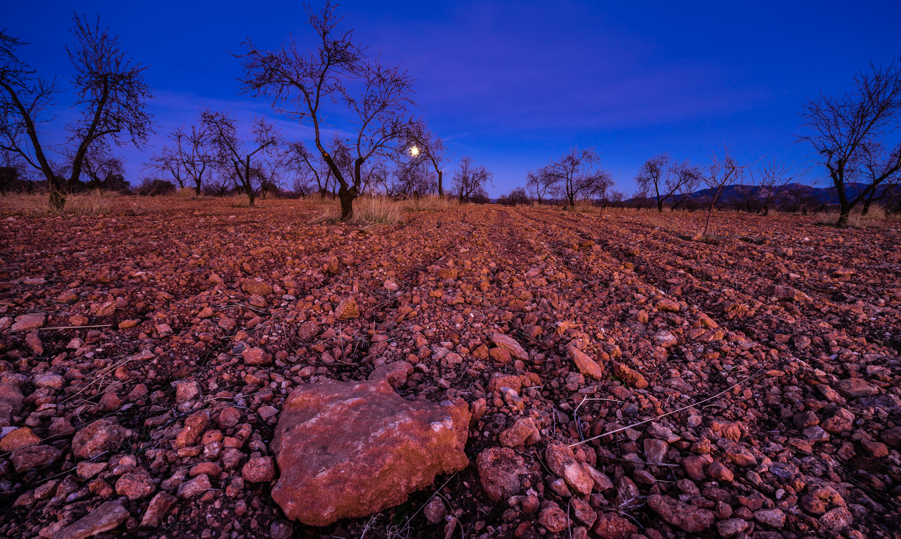 blue moon Foto & Bild | spain, world, spezial Bilder auf fotocommunity