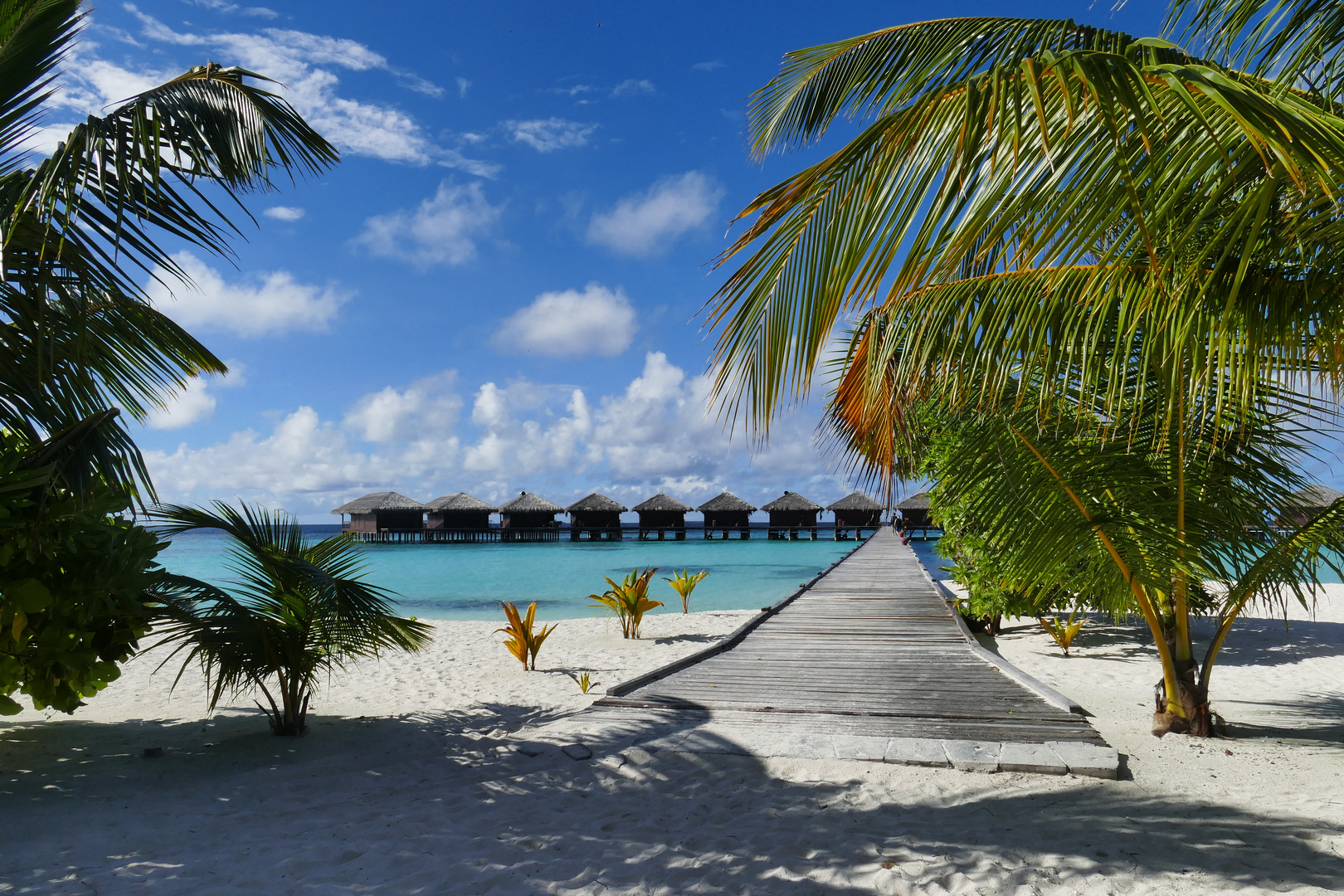 ...Blue Paradise... Foto & Bild | world, malediven, lagune Bilder auf ...