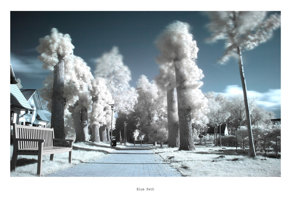 Blue Path Foto & Bild | archiv - kritik am bild, kritik am bild, motive ...