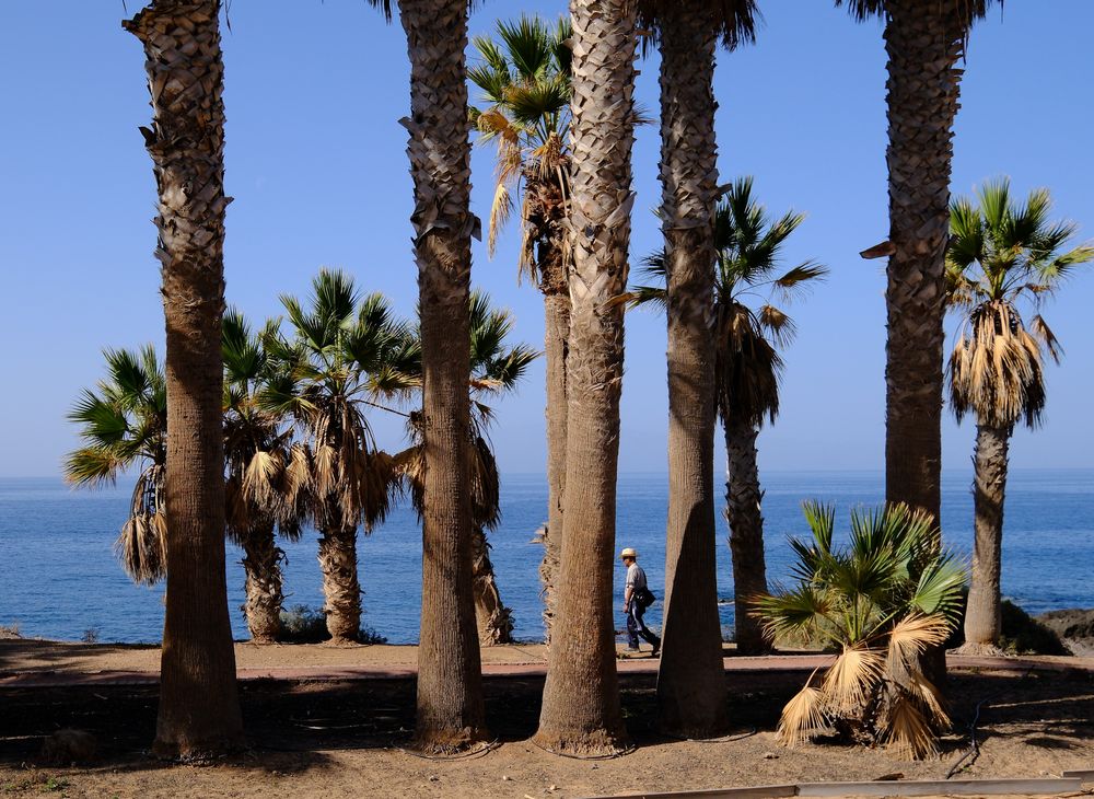 Blue Sunday Foto & Bild | europe, canary islands die kanaren, spain ...