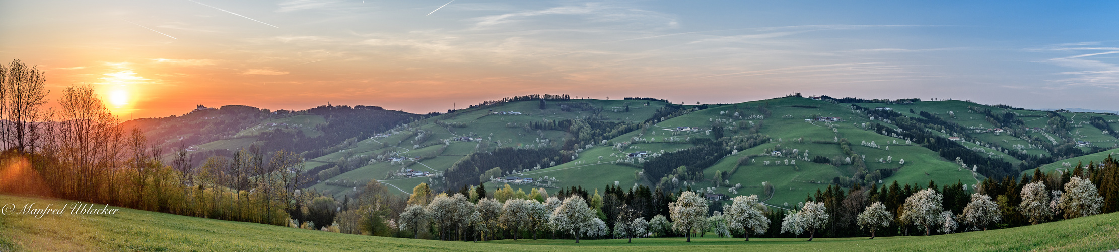 blühendes Mostviertel ... Foto & Bild | pflanzen, pilze & flechten ...