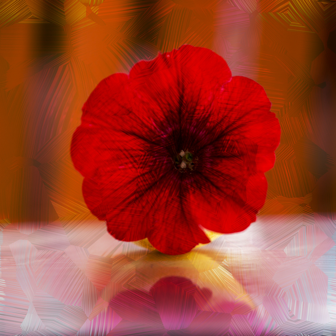 Blüte Foto & Bild | fotokunst, bearbeitungs - techniken, filtertechniken Bilder auf fotocommunity