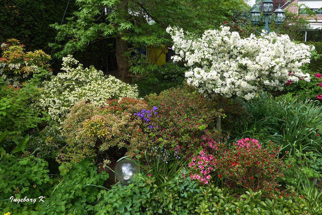 Blütenpracht im April Foto & Bild | jahreszeiten, frühling, natur ...