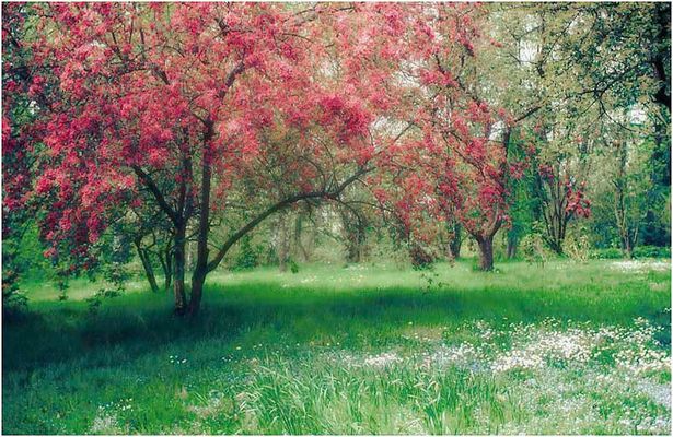 Alfred Neff - Fotos & Bilder - Fotograf aus Augsburg, Deutschland ...