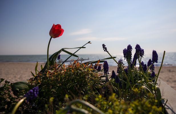 Meer & Strand Bilder & Fotos