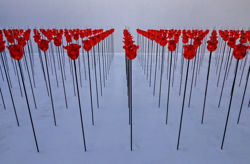 Blumen auf der biennale Foto & Bild | europe, italy, vatican city, s ... Blumen auf der biennale Foto & Bild | europe, italy, vatican city, s ...