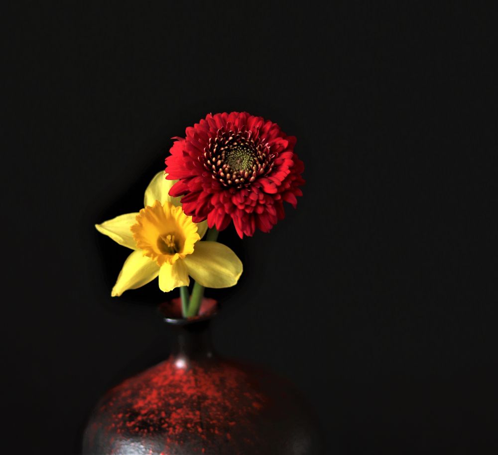 Blumen Foto & Bild | blumen, pflanzen, natur Bilder auf fotocommunity