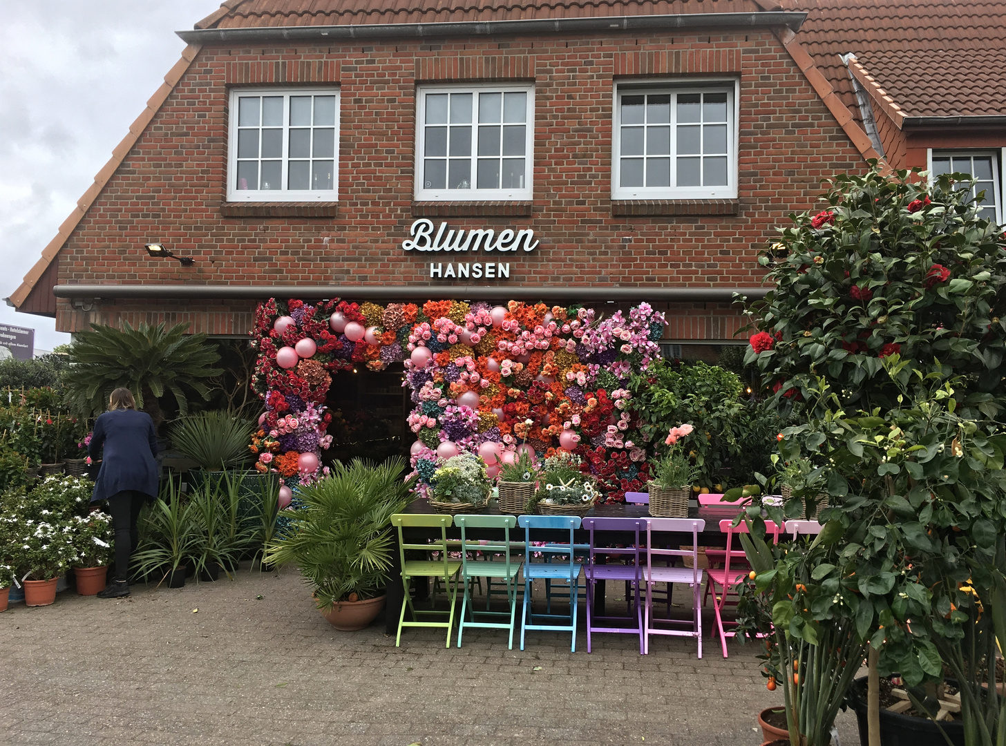 Blumen für Pfingsten Foto & Bild | sylt, blumen, bunt Bilder auf ...