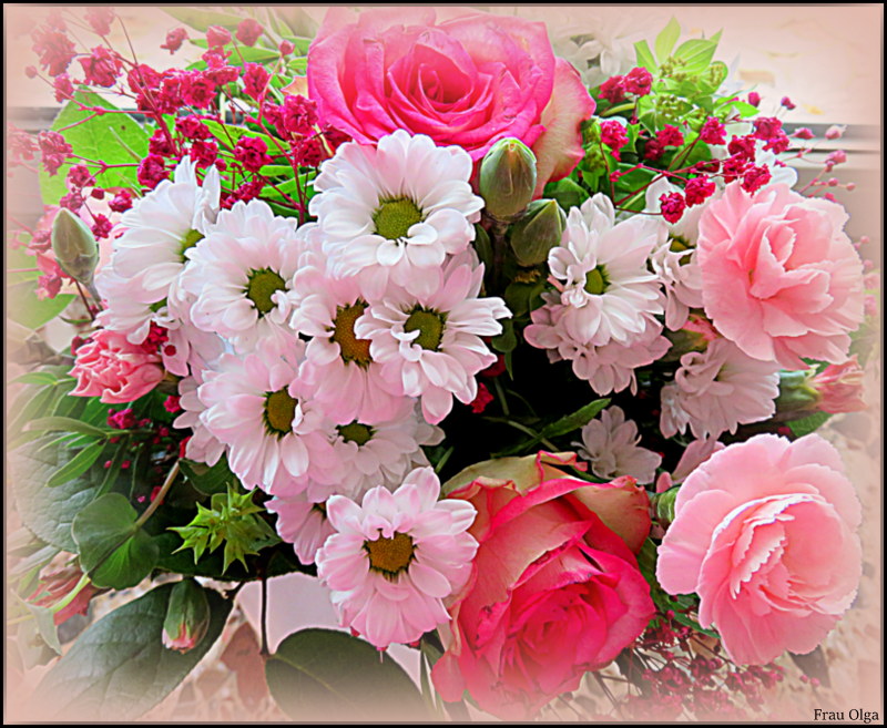 Blumen im November Foto & Bild | natur, pflanzen, pilze & flechten ...