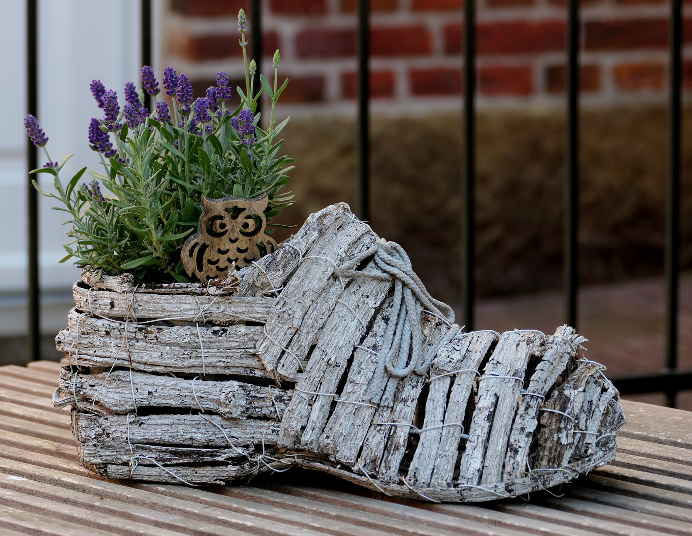 Blumen im Schuh Foto & Bild | pflanzen, pilze & flechten, blüten ...