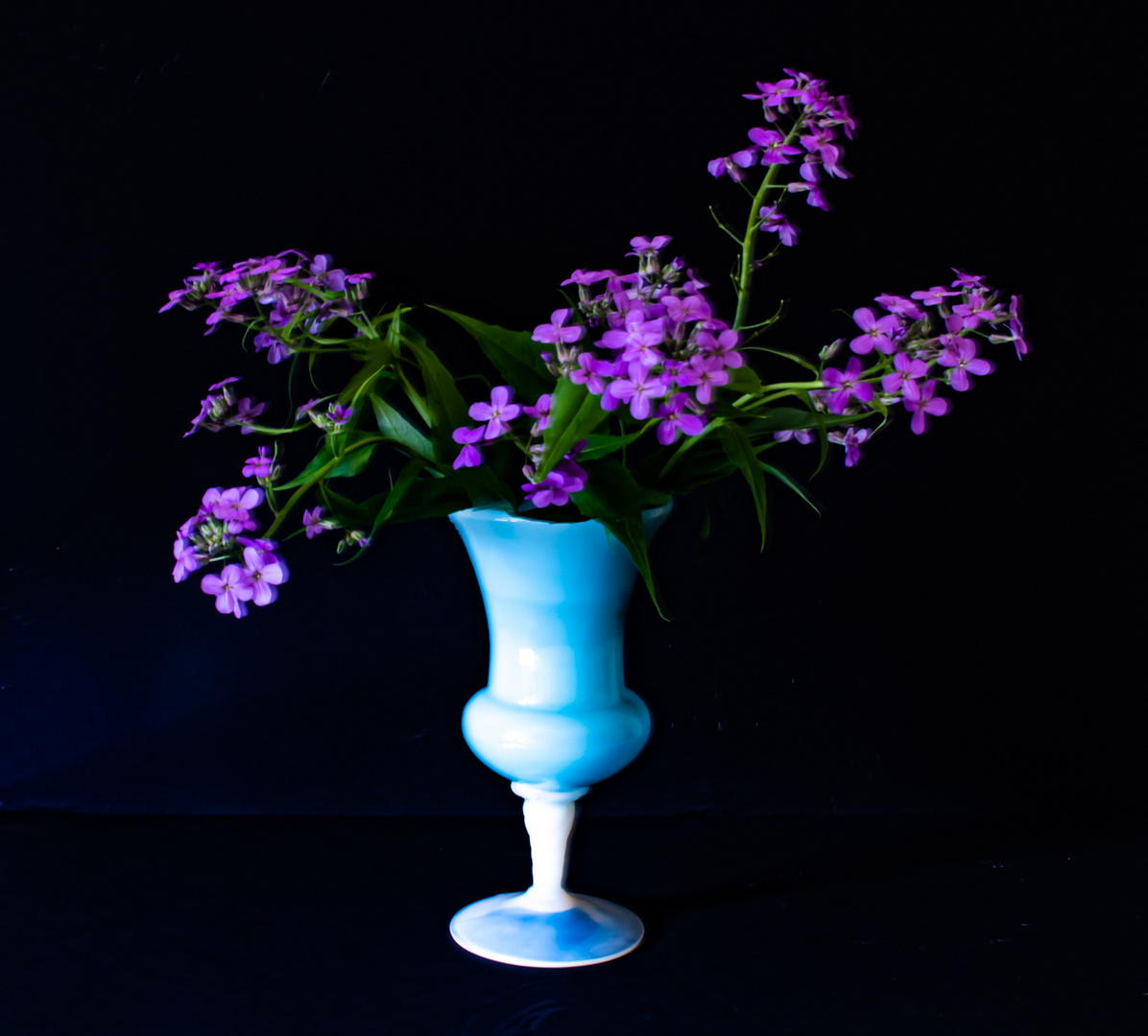Blumen in blauer Vase 8565 Foto & Bild | stillleben, kunstfotografie & kultur, fotokunst Bilder ...