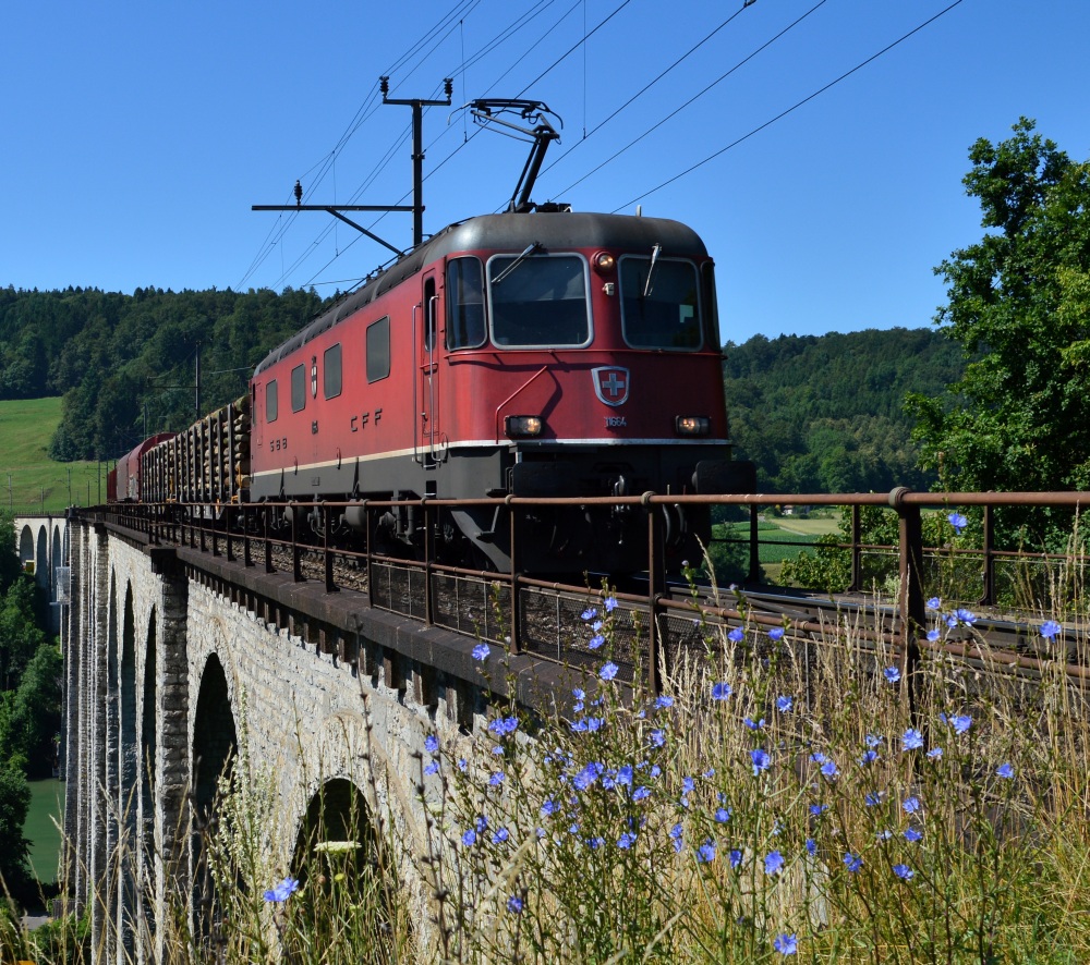 Blumen mit Rheinviadukt Foto & Bild | eisenbahn, westeuropäische eisenbahnen, eisenbahn schweiz ...