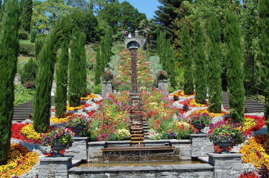 Blumenbrücke auf Insel Mainau Foto & Bild | pflanzen, pilze & flechten ...
