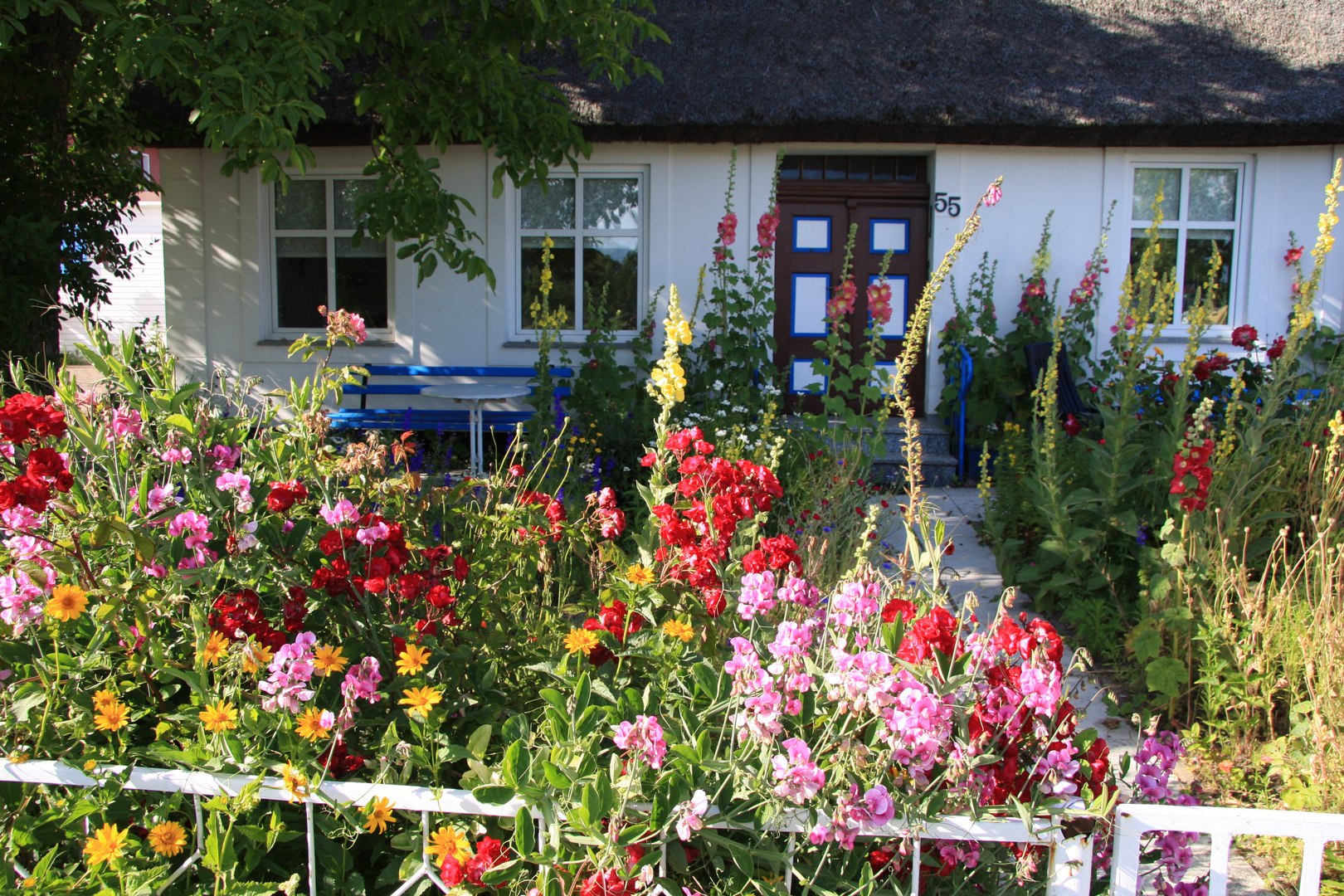 .. Blumengarten .. Foto & Bild | pflanzen, pilze & flechten, blüten ...