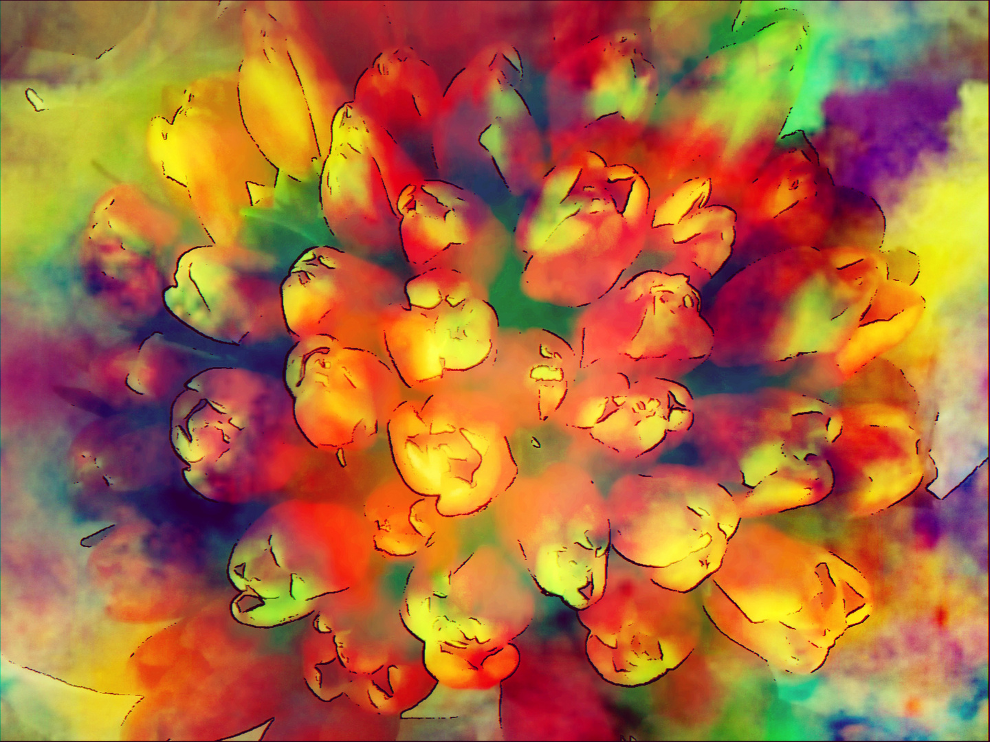 Blumenstrauß abstrakt Foto & Bild | abstraktes, pflanzen, pilze ...