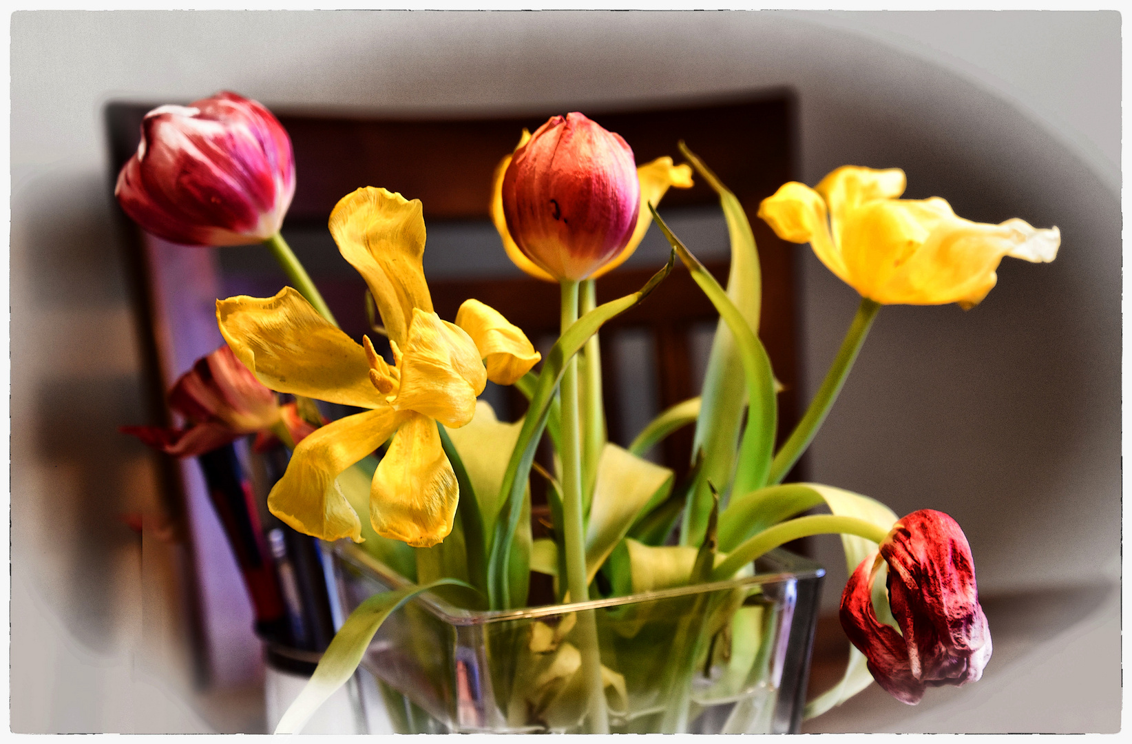 Blumenstrauß Foto & Bild | tulpen, natur, frühblüher Bilder auf fotocommunity