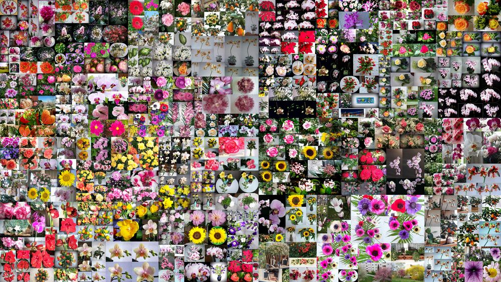 Blumenteppich Foto & Bild | pflanzen, natur Bilder auf fotocommunity