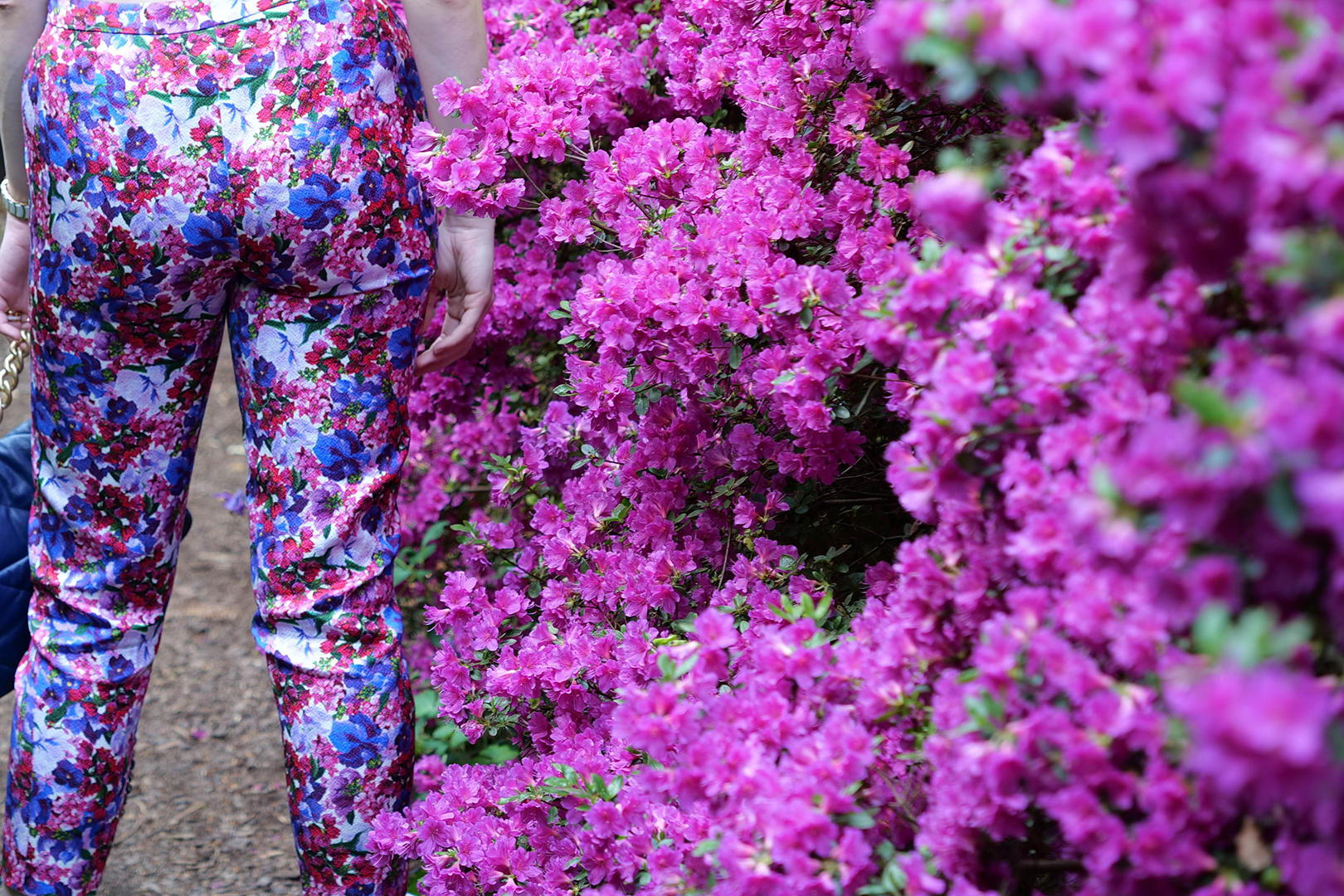 blumig Foto & Bild | streetfotografie mit menschen, körperdetails ...