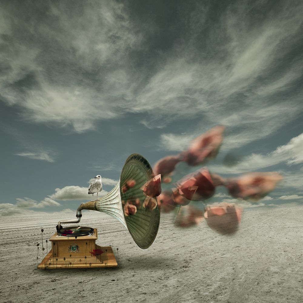 blumigeTöne Foto & Bild | fotomontage, composing , wolken Bilder auf fotocommunity