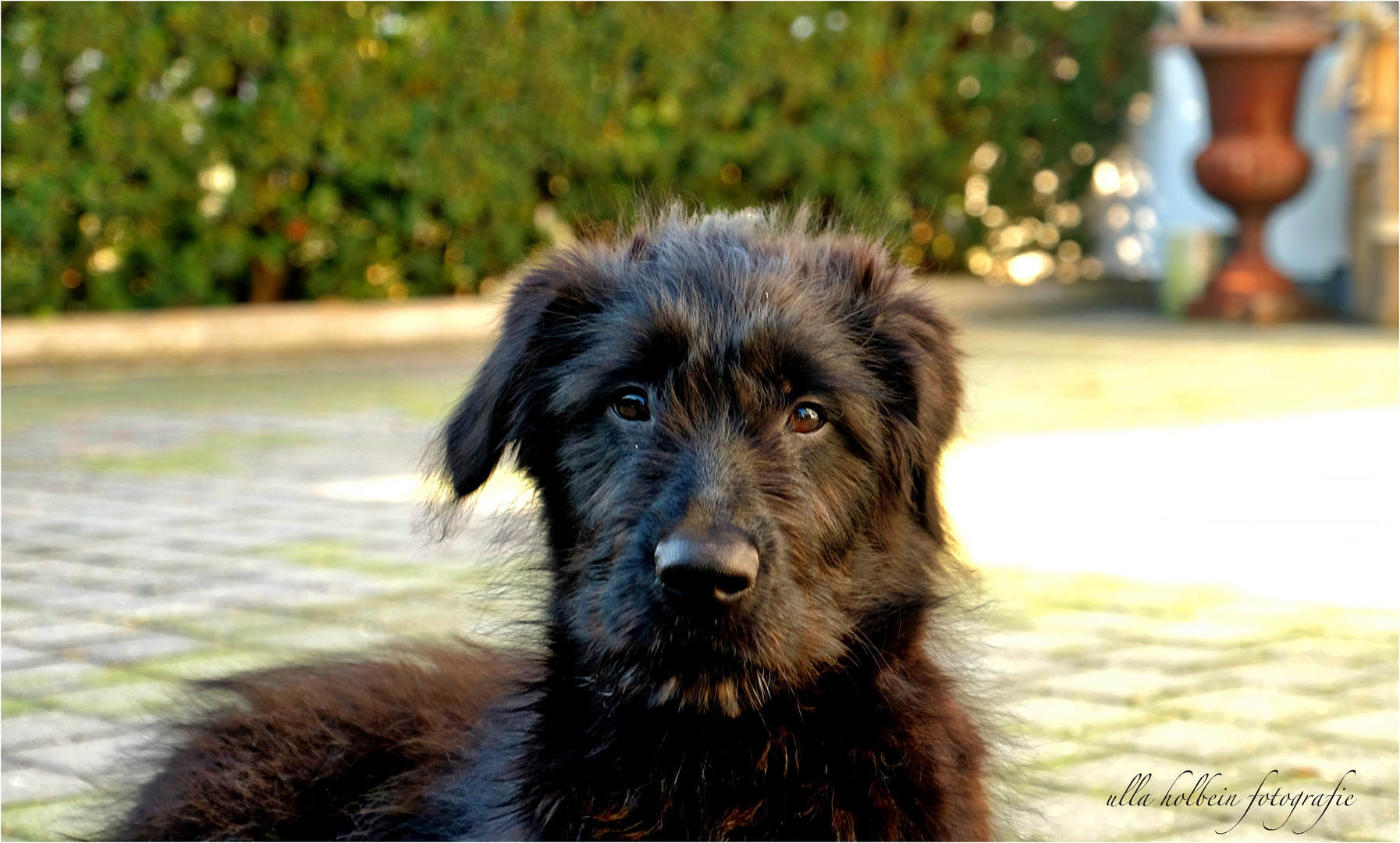 bOah... Foto & Bild | fotos, art, fun Bilder auf fotocommunity