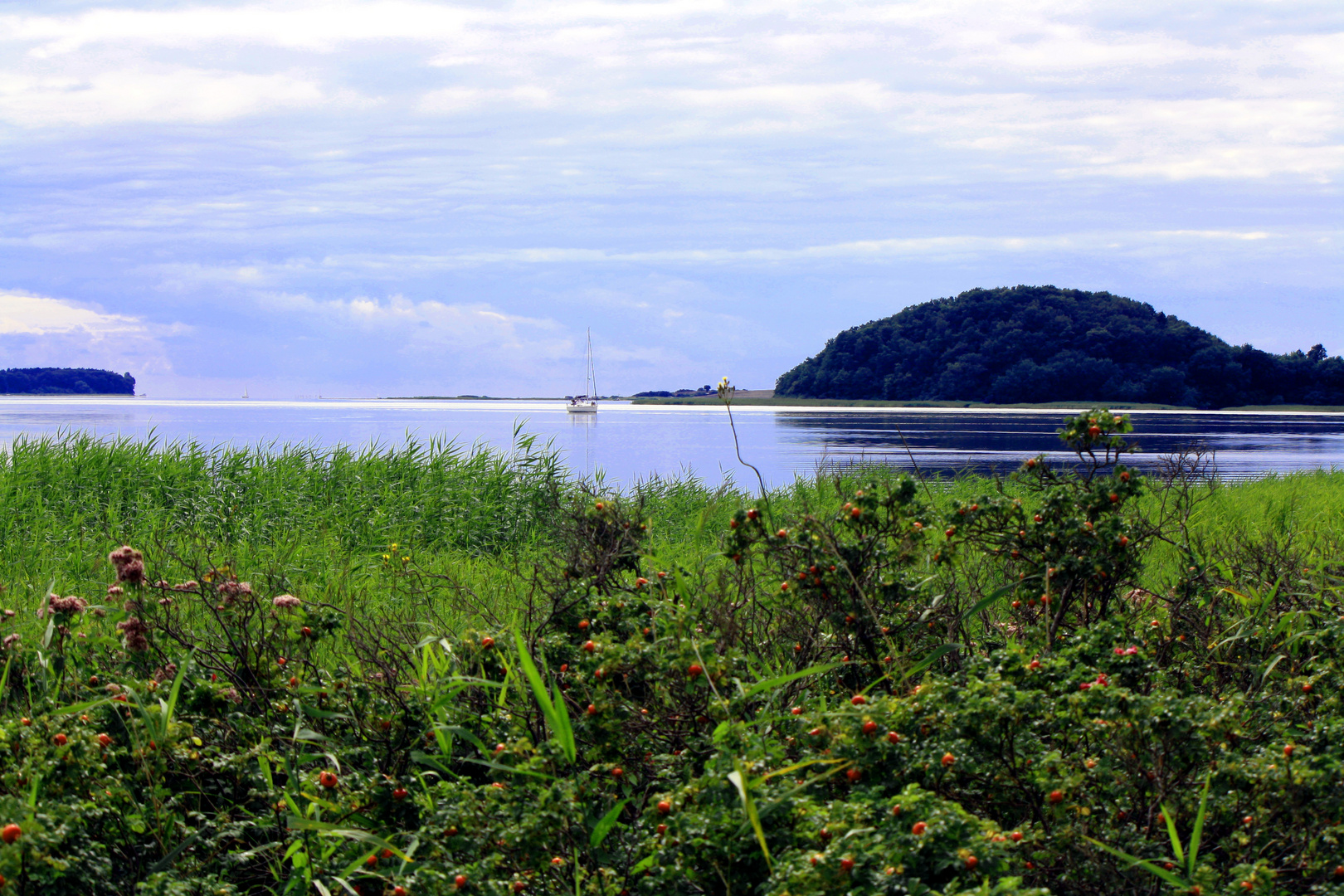 Bodden 2 Foto & Bild | deutschland, europe, mecklenburg- vorpommern ...