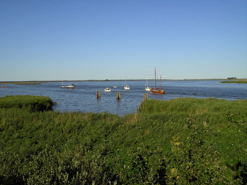 bodden Foto & Bild | landschaft, natur Bilder auf fotocommunity